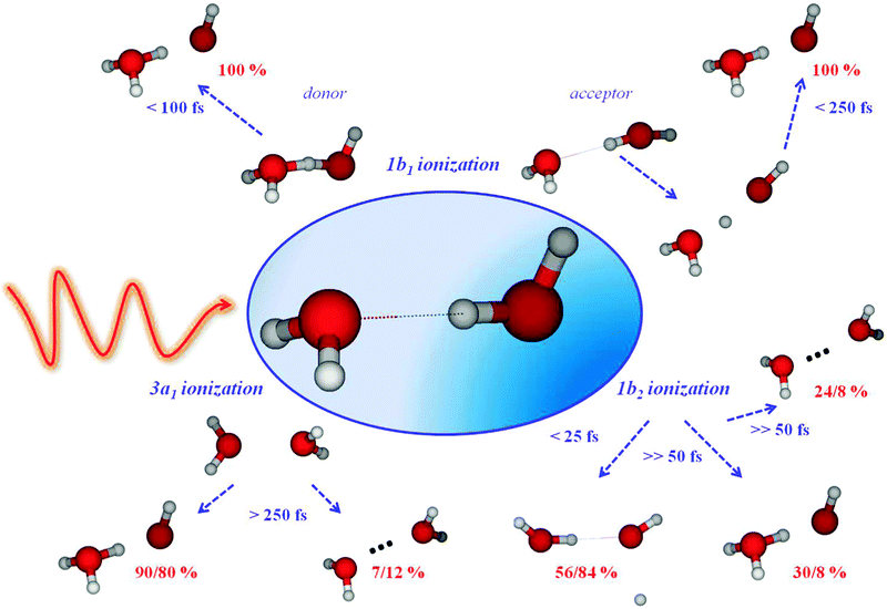 Reaction selectivity in an ionized water dimer: nonadiabatic ab initio ...