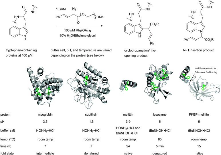 Catalytic X–H insertion reactions based on carbenoids - Chemical ...