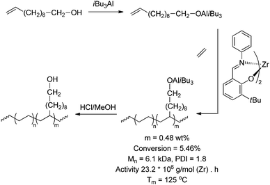Synthesis of functional ‘polyolefins’: state of the art and remaining ...