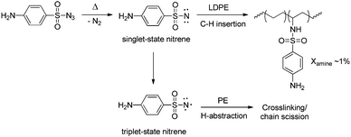 Synthesis of functional ‘polyolefins’: state of the art and remaining ...