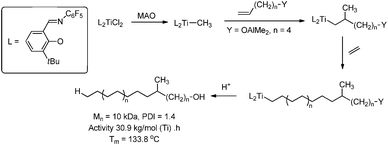 Synthesis of functional ‘polyolefins’: state of the art and remaining ...