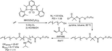 Synthesis of functional ‘polyolefins’: state of the art and remaining ...