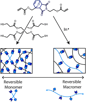 Covalent adaptable networks: smart, reconfigurable and responsive ...