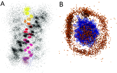 Perspective on the Martini model - Chemical Society Reviews (RSC ...