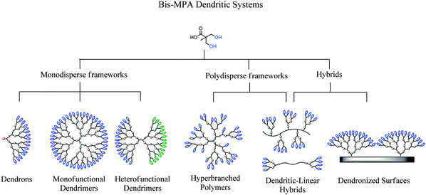 Dendritic architectures based on bis-MPA: functional polymeric ...