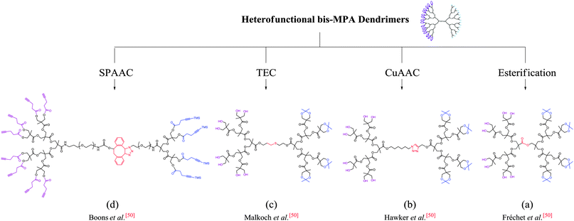 Dendritic architectures based on bis-MPA: functional polymeric ...