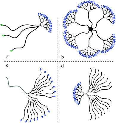 Dendritic architectures based on bis-MPA: functional polymeric ...