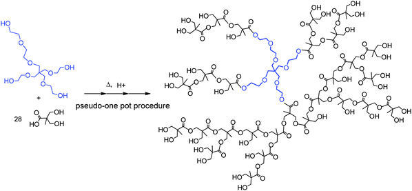 Dendritic architectures based on bis-MPA: functional polymeric ...