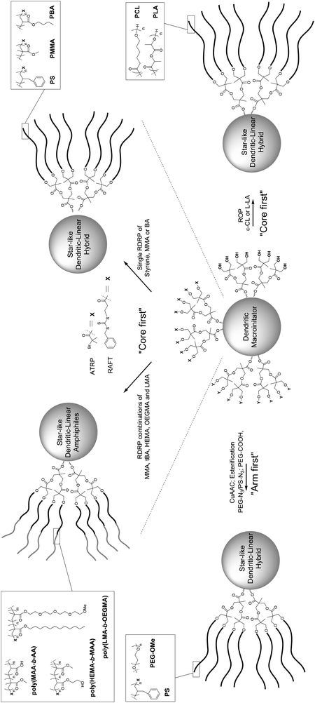 Dendritic architectures based on bis-MPA: functional polymeric ...