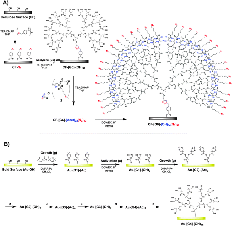 Dendritic architectures based on bis-MPA: functional polymeric ...