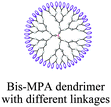 Dendritic architectures based on bis-MPA: functional polymeric ...