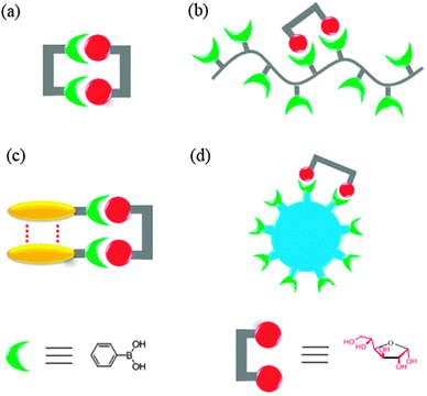 Selective sensing of saccharides using simple boronic acids and their ...