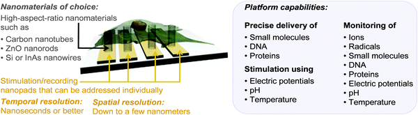 Cellular nanotechnology: making biological interfaces smarter ...