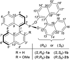 Chiral MOP-phosphonite ligands : synthesis, characterisation and ...