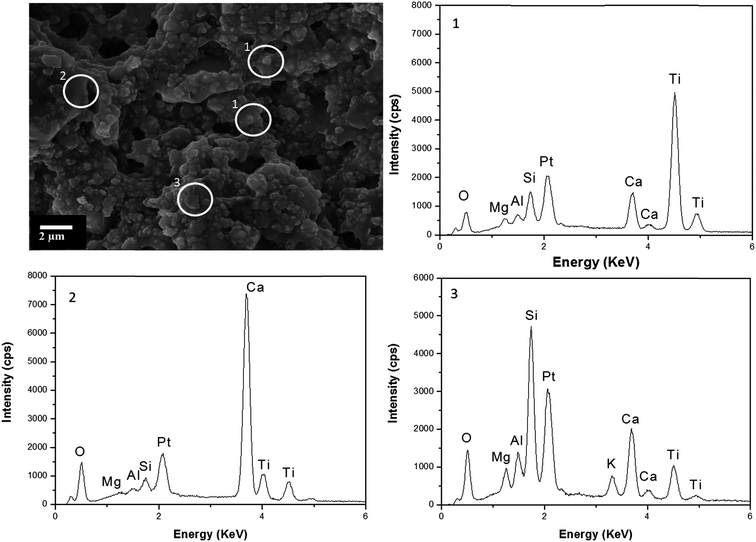 Release of TiO 2 from paints containing pigment-TiO 2 or nano-TiO 2 by ...