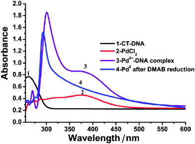 Networks of DNA-templated palladium nanowires : structural and ...