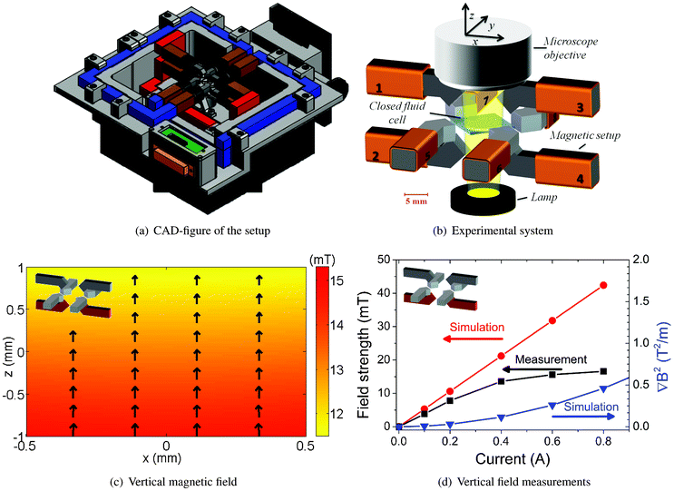 Disaggregation of microparticle clusters by induced magnetic dipole ...