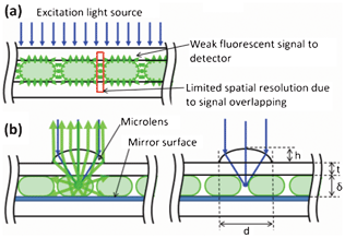 Micro-optical lens array for fluorescence detection in droplet-based microfluidics - Lab on a ...