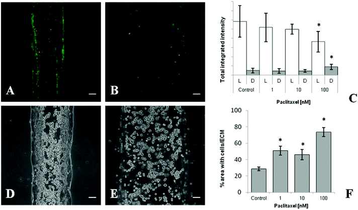 A bioengineered heterotypic stroma–cancer microenvironment model to ...