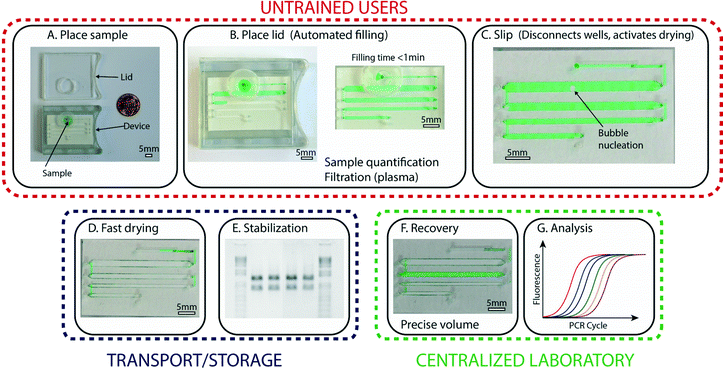 A microfluidic device for dry sample preservation in remote settings ...