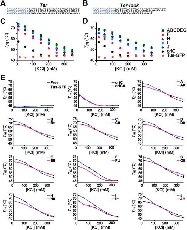 Dissecting the salt dependence of the Tus– Ter protein–DNA complexes by ...