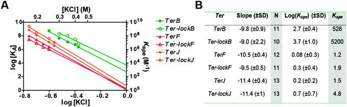 Dissecting the salt dependence of the Tus– Ter protein–DNA complexes by ...