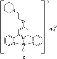 A platinum complex that binds non-covalently to DNA and induces cell ...