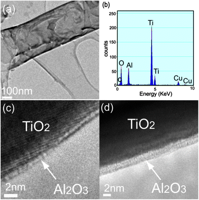 Free standing TiO 2 nanotube array electrodes with an ultra-thin Al 2 O ...
