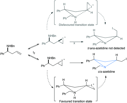 Synthesis of azetidines and pyrrolidines via iodocyclisation of ...