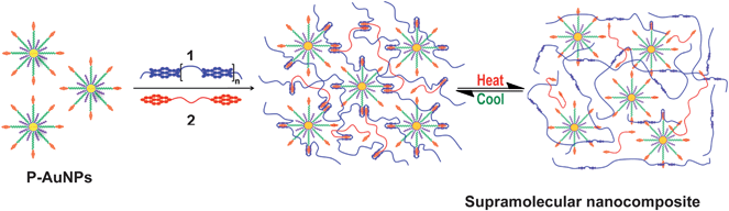 Molecular recognition between functionalized gold nanoparticles and ...