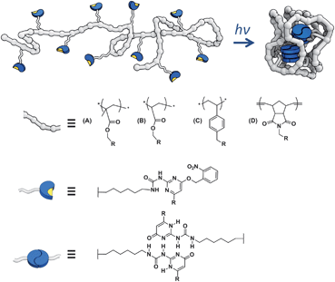 The balance between intramolecular hydrogen bonding, polymer solubility ...