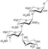Fucoidans from brown seaweeds: an update on structures, extraction ...