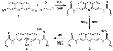 Synthesis and binding of proflavine diazides as functional ...