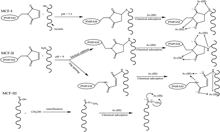 Chemical modification, characterization, and application of chicken ...