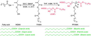 RAFT polymerization of fatty acid containing monomers: controlled ...