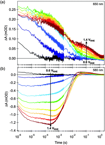 Charge carrier trapping, recombination and transfer in hematite (α-Fe 2 ...