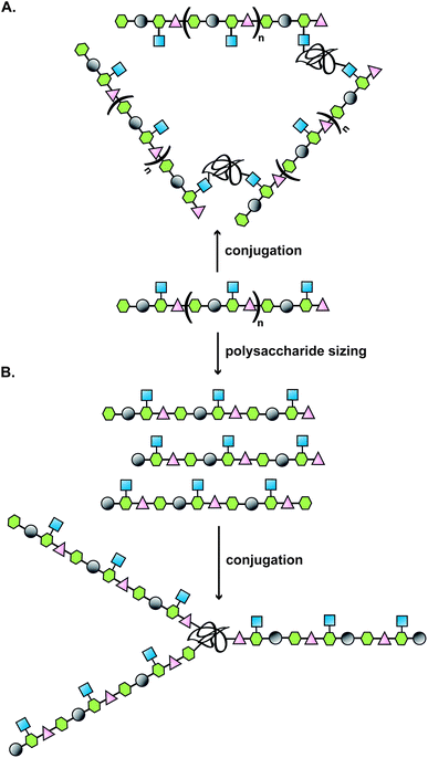 Synthetically defined glycoprotein vaccines: current status and future ...
