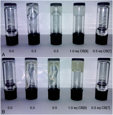 Dynamically crosslinked materials via recognition of amino acids by ...