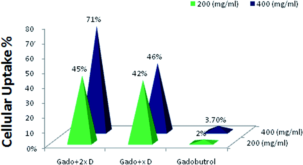 Cellular uptake, imaging and pathotoxicological studies of a novel Gd ...