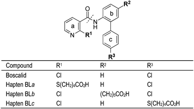 Design and development of heterologous competitive immunoassays for the ...