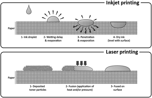 Determining the chronology of deposition of natural fingermarks and ...