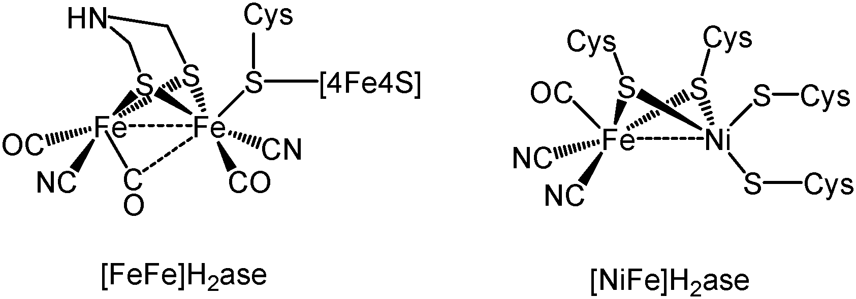 Hydrogenase biomimetics: Fe 2 (CO) 4 (μ-dppf)(μ-pdt) (dppf = 1,1′-bis ...