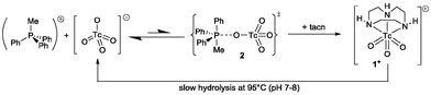 Activation of [ 99(m) TcO 4 ] − by phosphonium cations - Chemical ...