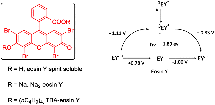 Synthetic applications of eosin Y in photoredox catalysis - Chemical ...