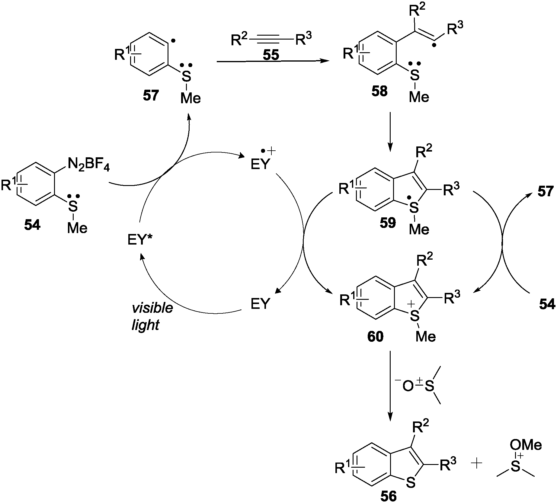 Synthetic applications of eosin Y in photoredox catalysis - Chemical ...