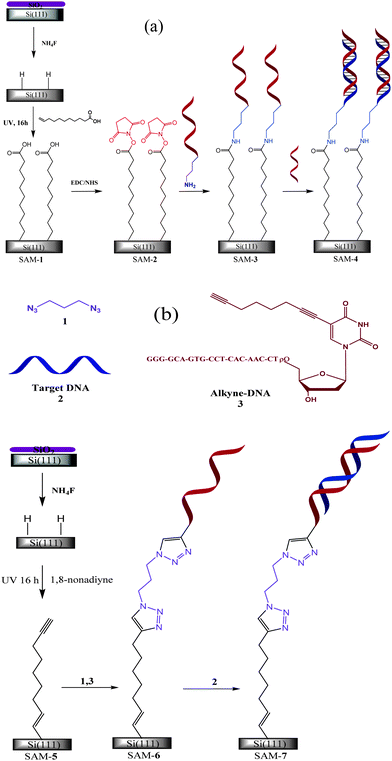 A robust DNA interface on a silicon electrode - Chemical Communications ...