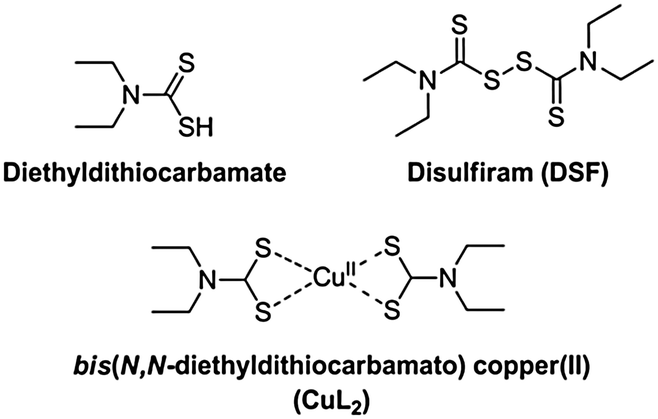 On the interaction of copper( ii ) with disulfiram - Chemical ...