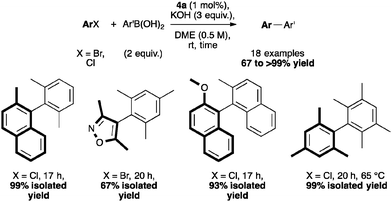 The use of the sterically demanding IPr* and related ligands in ...