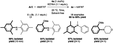 The use of the sterically demanding IPr* and related ligands in ...