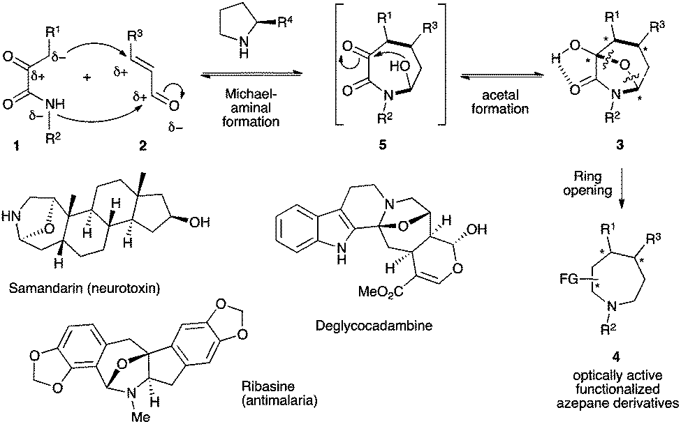 A temporary-bridge strategy for enantioselective organocatalyzed ...